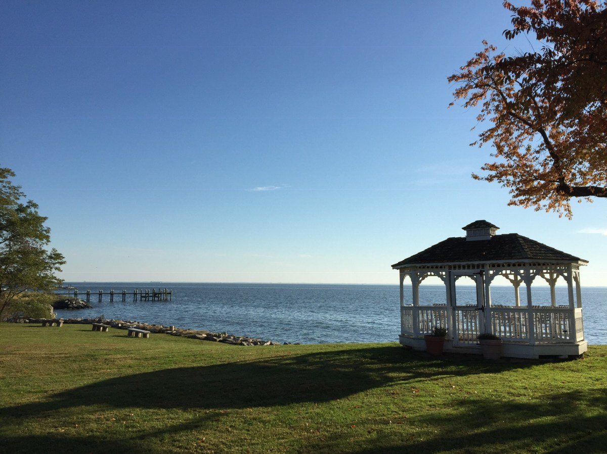 A Thank You – Sean Felix